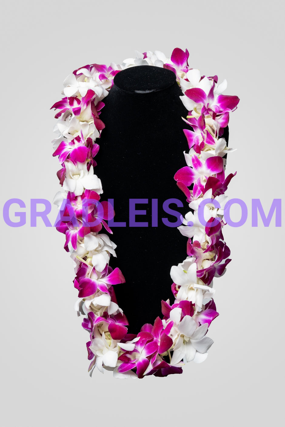 Graduation Leis For Sale | #1 SoCal Graduation Lei Provider – GradLeis.com